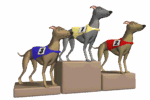 racing greyhounds (in Animated GIFs)