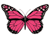 pink butterfly (in Animated GIFs)